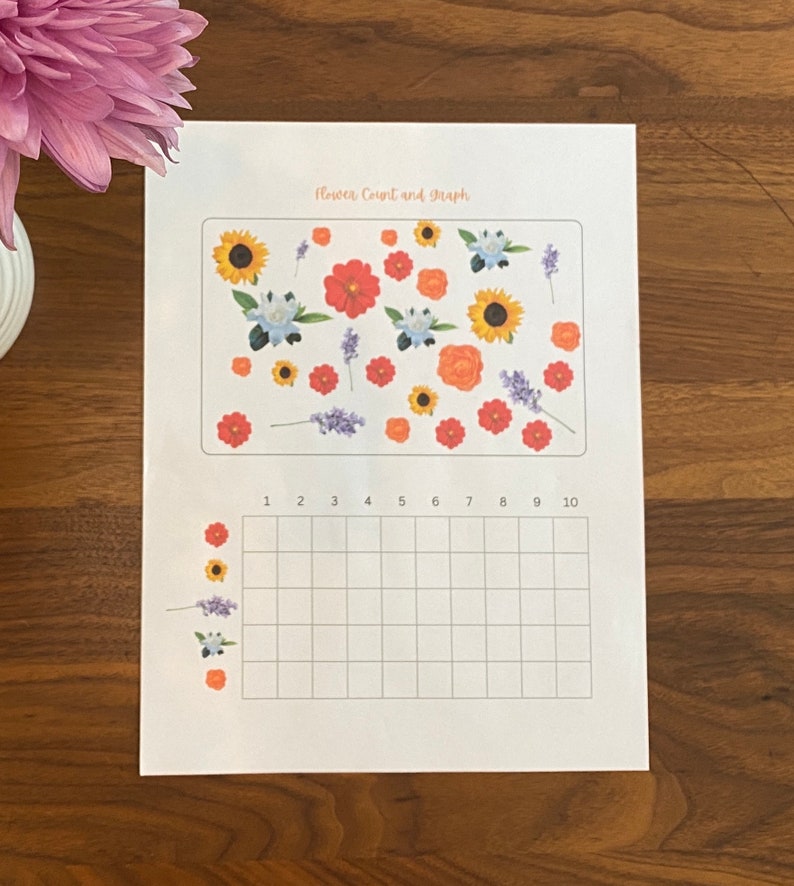 Printable Flower Activity Kit: Montessori Toddler Learning (digital ...