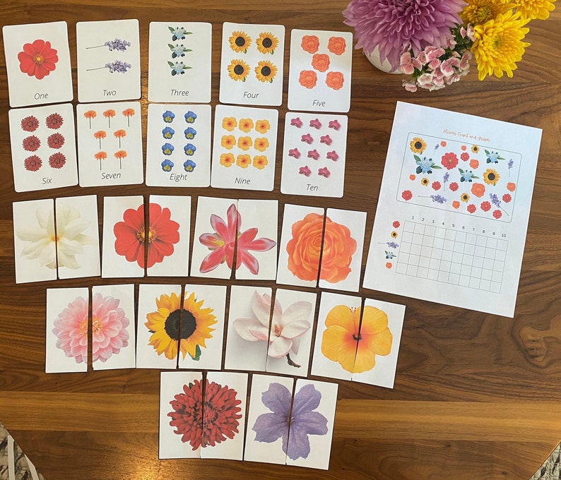 Printable Flower Theme Activity Kit- 3 Activities, Montessori Materials ...