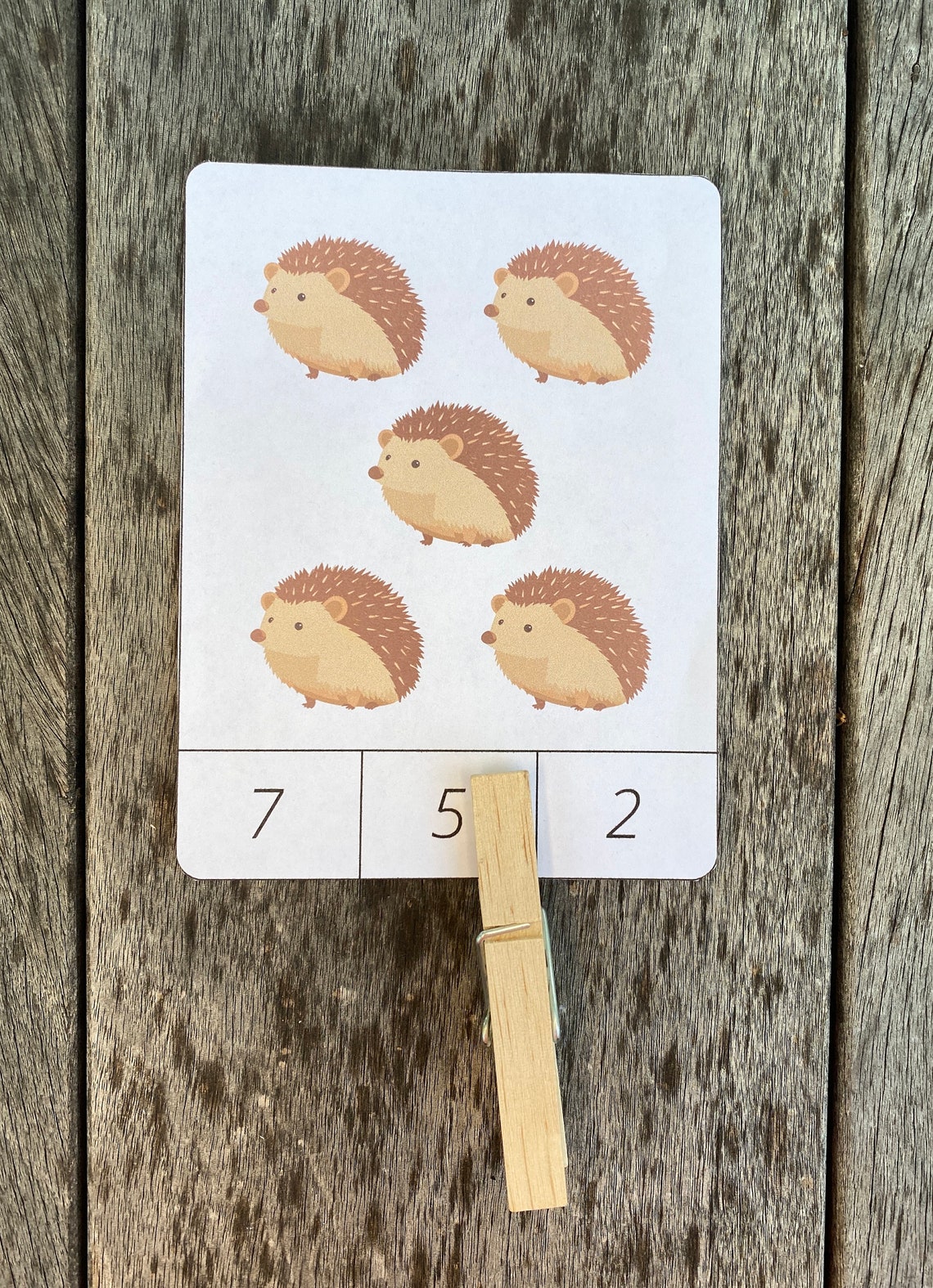Woodland Animal Number Cards 1-9: Montessori Counting (digital Download ...