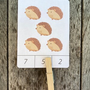 Printable Number Identification Cards 1 - 9, Woodland Animal, Learn to ...
