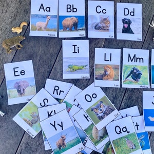 Printable Alphabet Animal Flashcards, Montessori Materials Printable ...