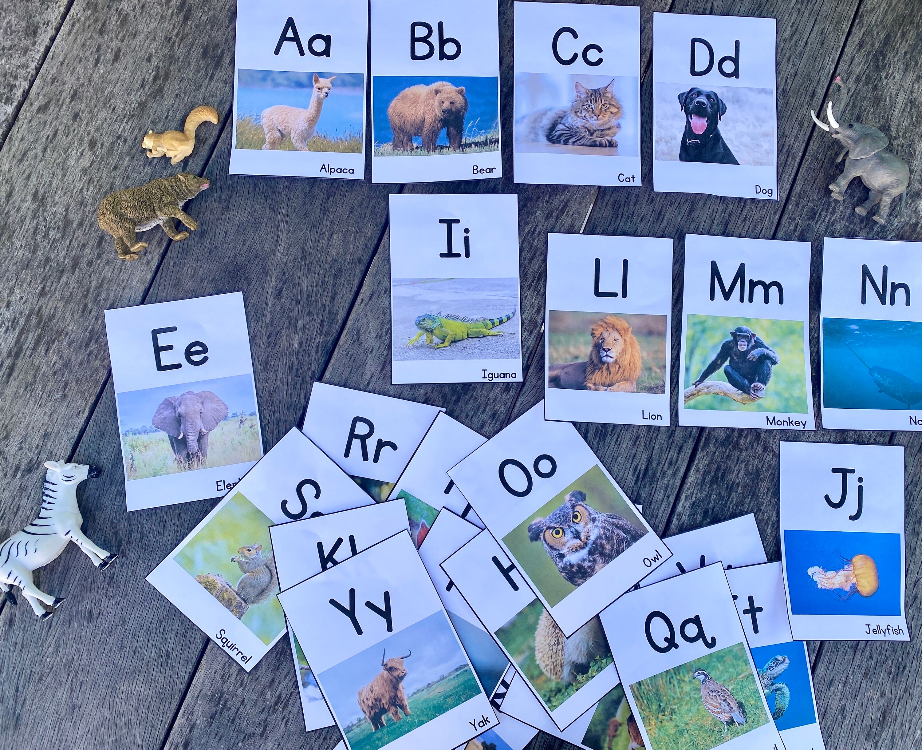 Printable Alphabet Animal Flashcards, Montessori Materials Printable ...