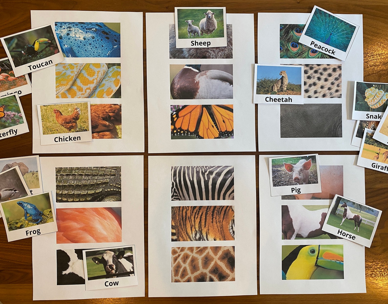 Animal Pattern Matching Activity: Toddler & Preschool Printable (PDF ...