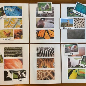 Animal Pattern Matching Activity: Toddler & Preschool Printable (PDF ...