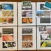 Animal Pattern Matching Activity: Toddler & Preschool Printable (PDF ...