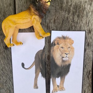 Printable Animal Matching Activity - Toddler & Preschool Printables ...