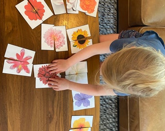 Printable Animal Matching Activity - Toddler & Preschool Printables ...