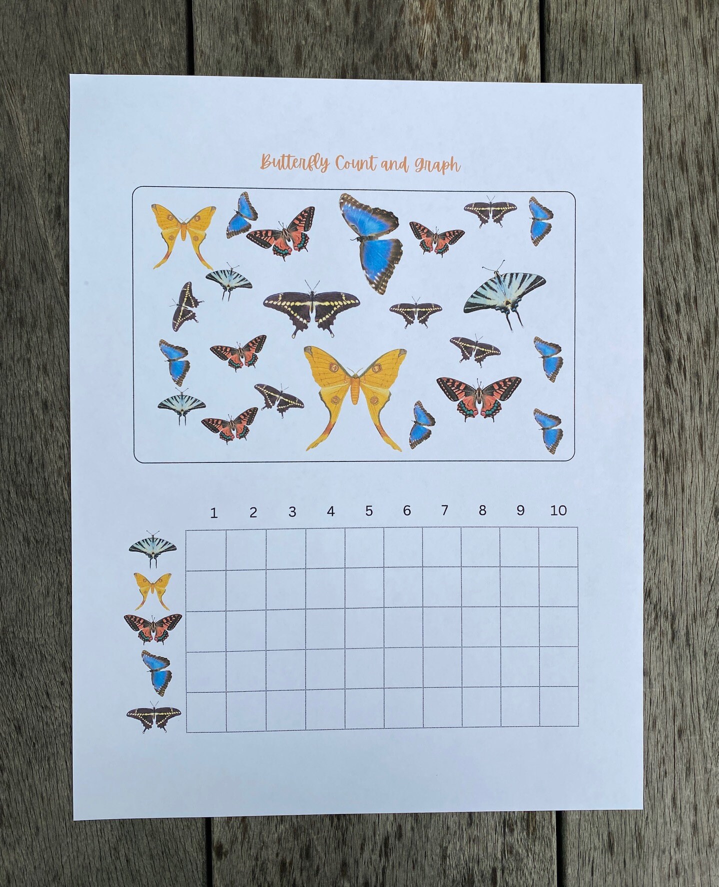 Printable Count and Graph Activity - Butterfly Theme, Learn to Count ...