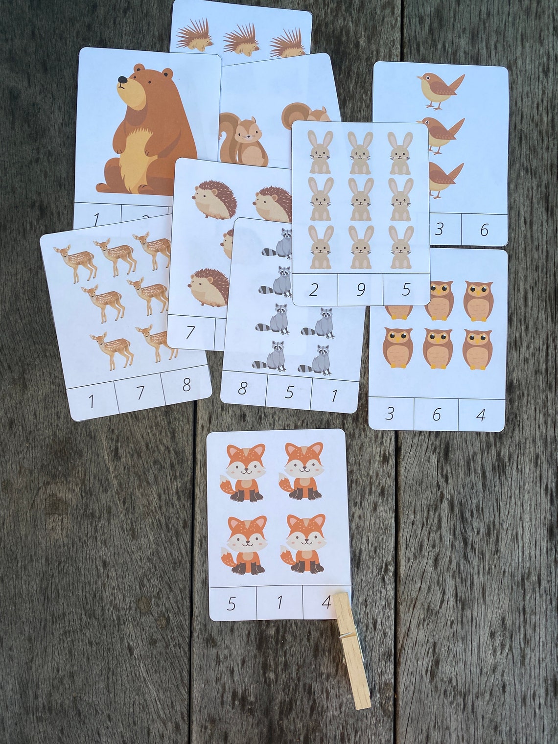 Woodland Animal Number Cards 1-9: Montessori Counting (digital Download ...
