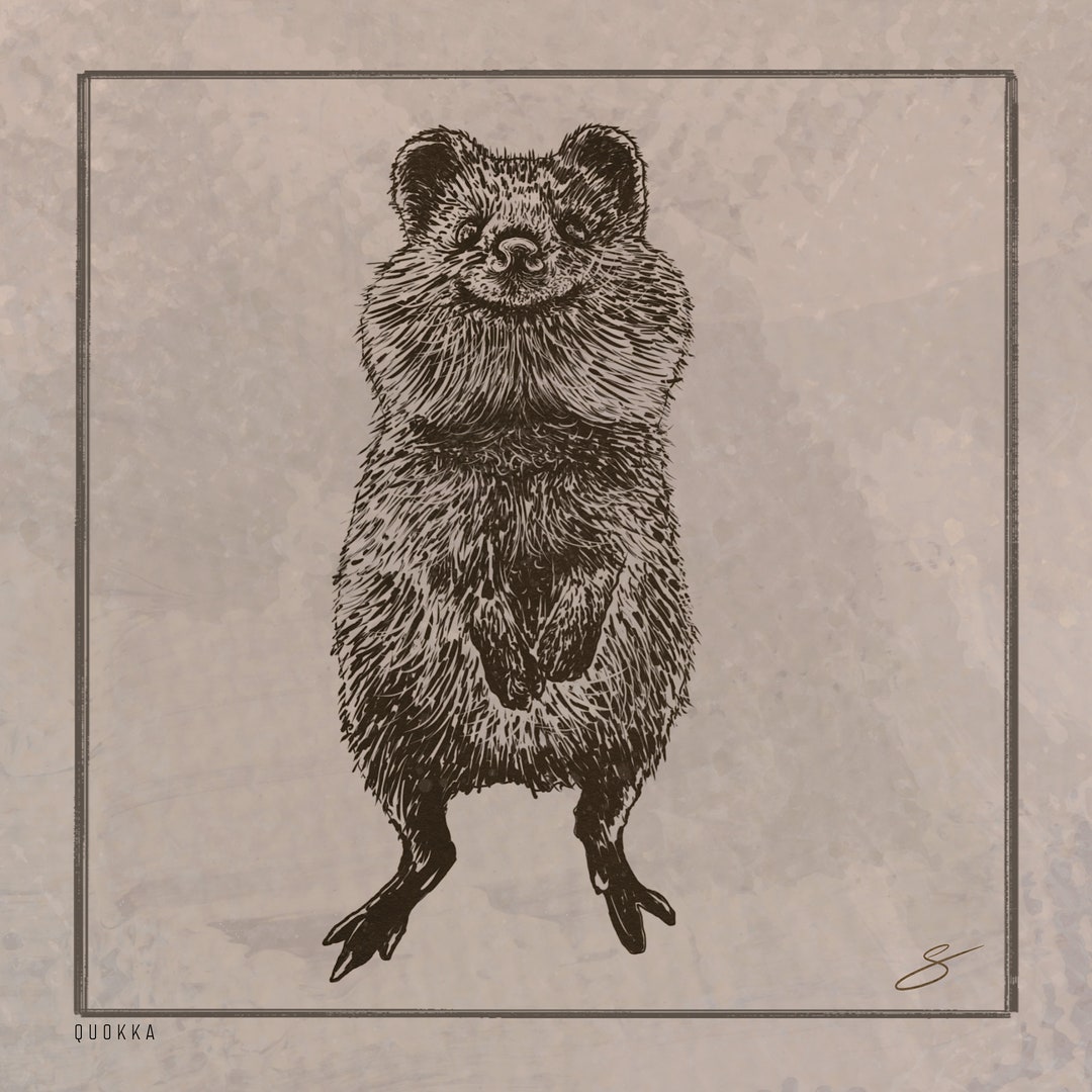 Quokka Illustration Printable Cute Animal Art Digital Download Wall ...