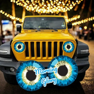 Random Series Headlight Decals - Etsy