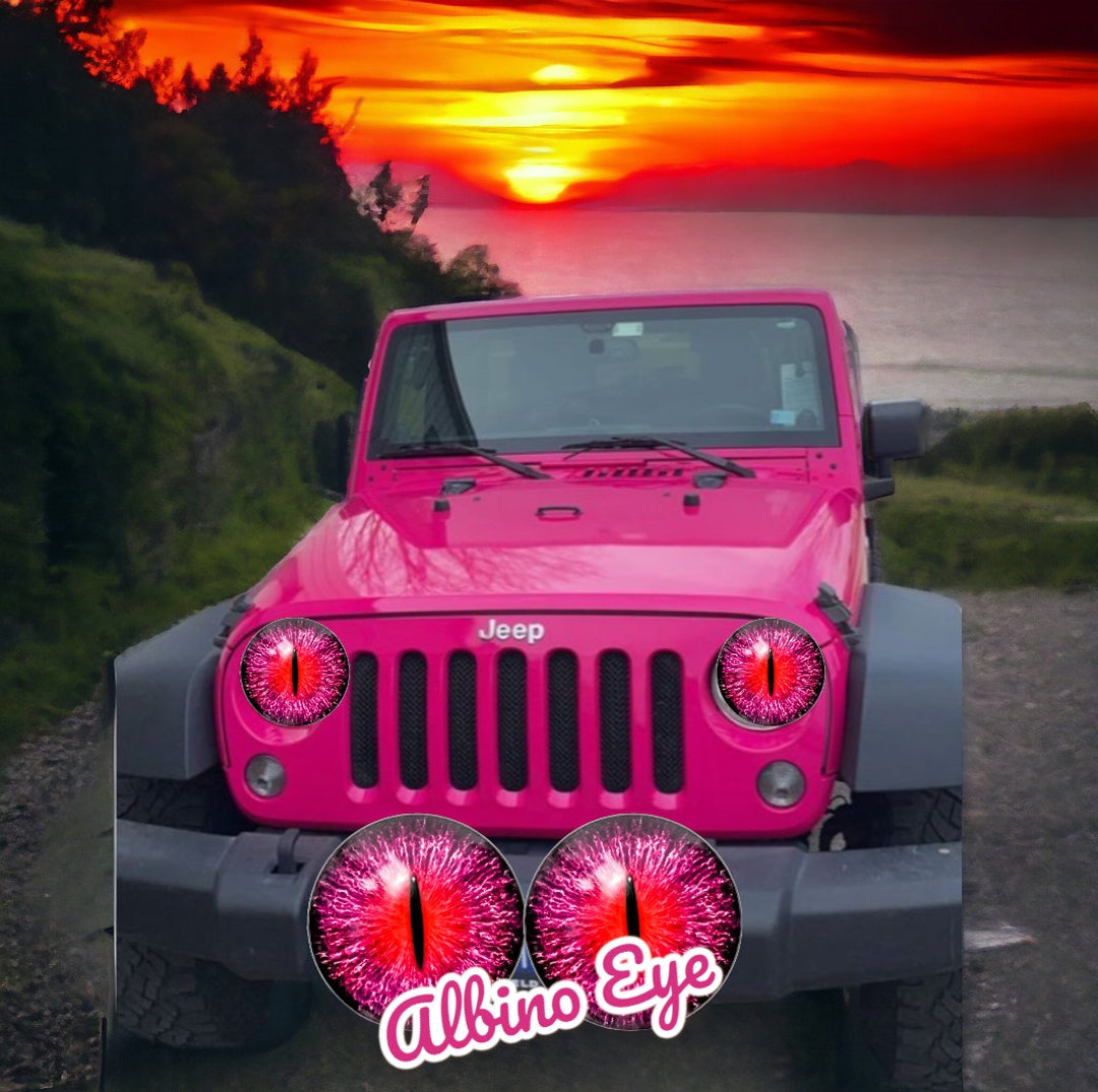 Eyes of the Wild 2 Decals - Etsy