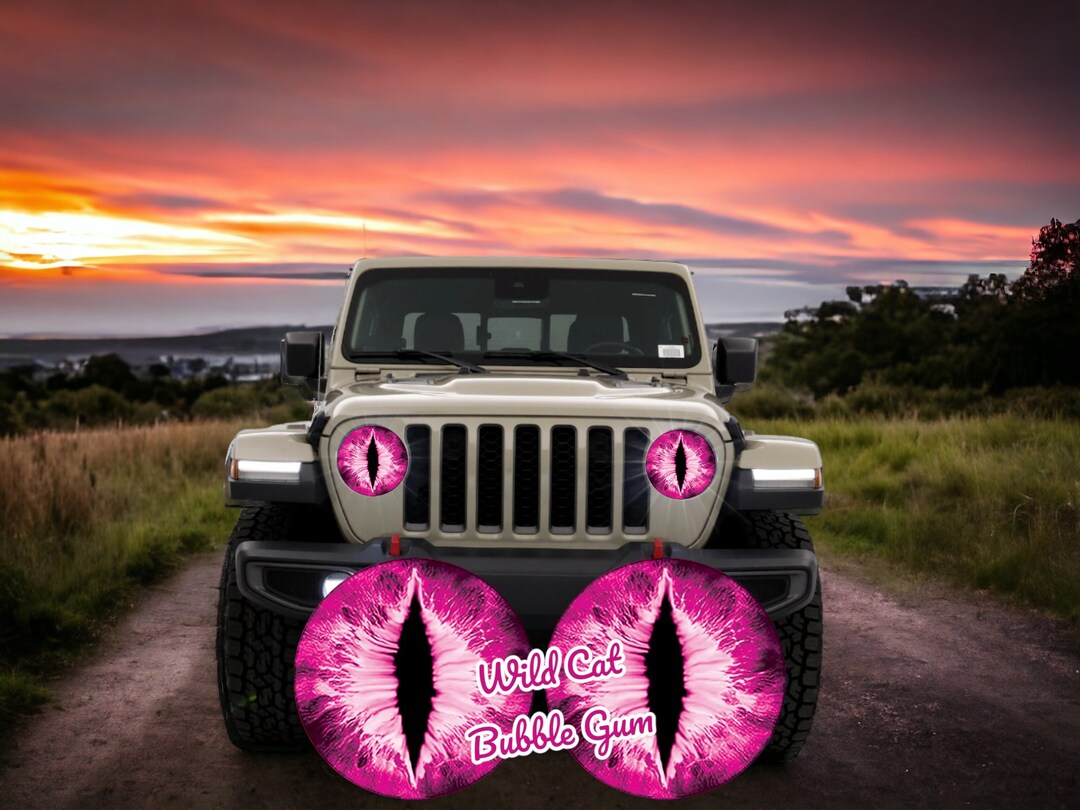Wildcat Series Headlight Decals - Etsy