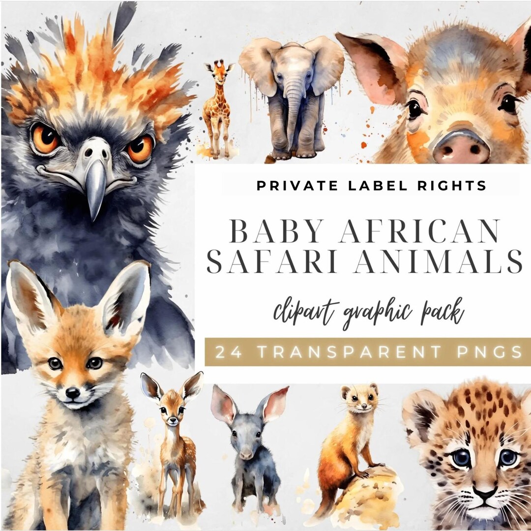 Baby Animals Clipart Pack, African Safari Jungle Graphics Bundle ...