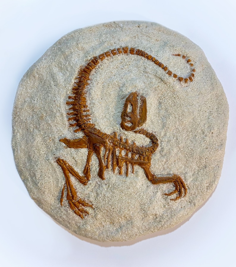Velociraptor Skeleton - Fossil - Jurassic Park - Etsy