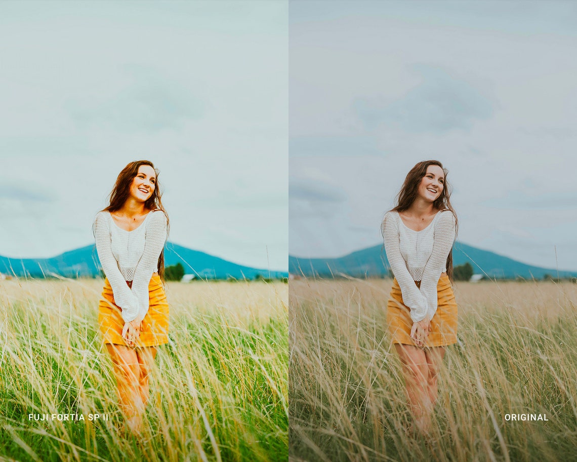 Fuji Fortia SP II - Etsy