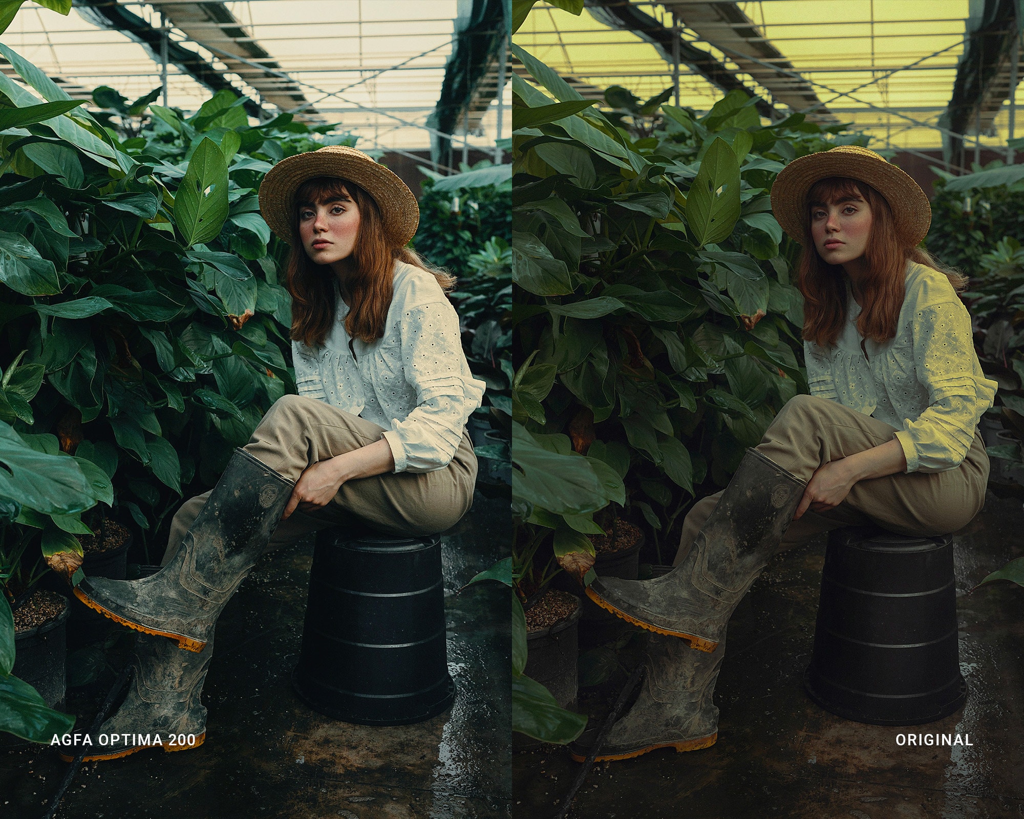 Agfa Optima 200 - Etsy