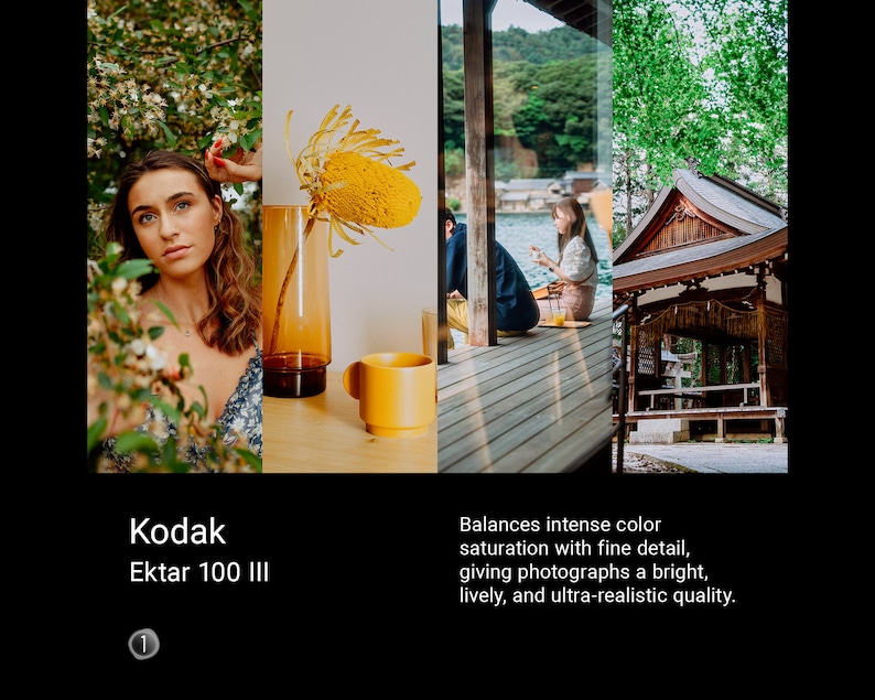 Kodak Ektar 100 III - Etsy