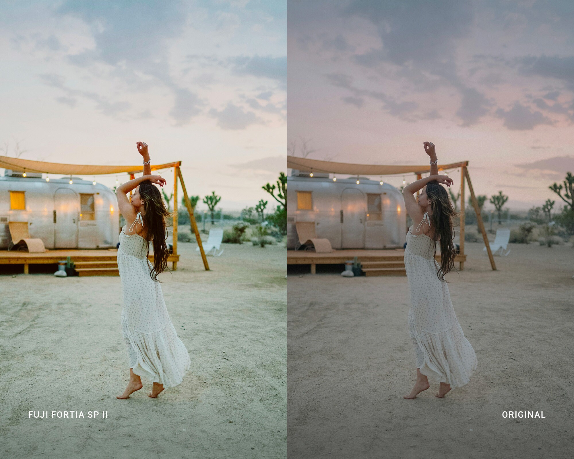 Fuji Fortia SP II - Etsy