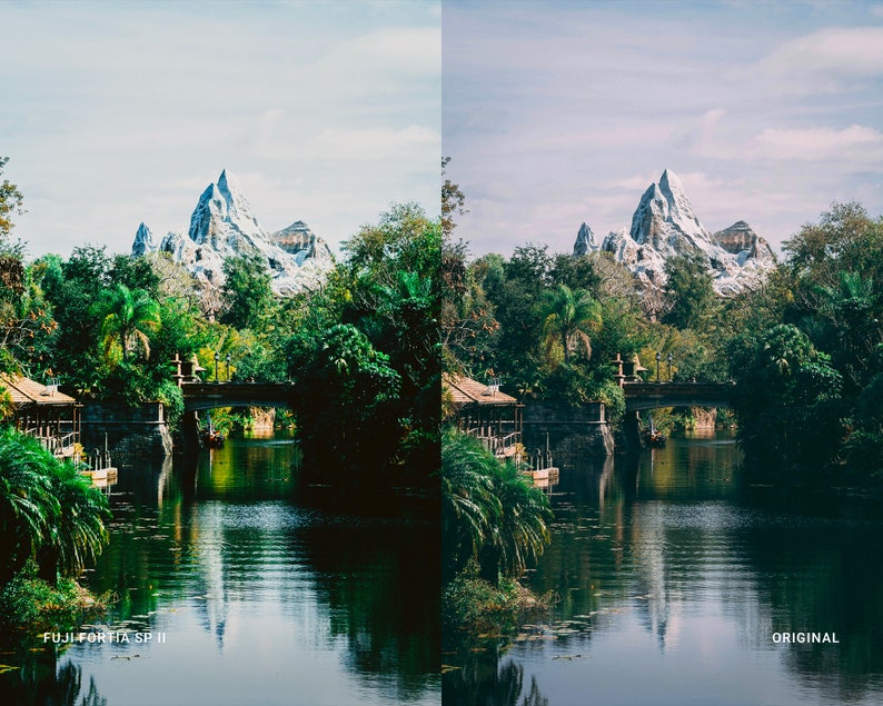 Fuji Fortia SP II - Etsy