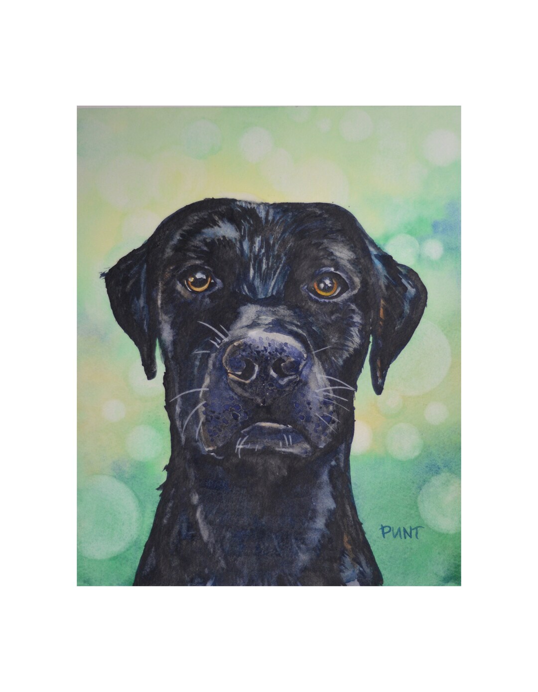 Black Lab Watercolor Print: Labrador Retriever Pet Portrait - Etsy