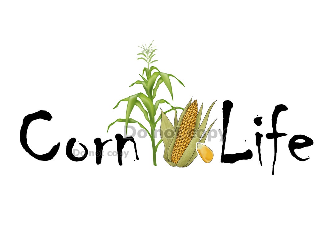 Corn Life High Resolution PNG Digital File Transparent Background ...