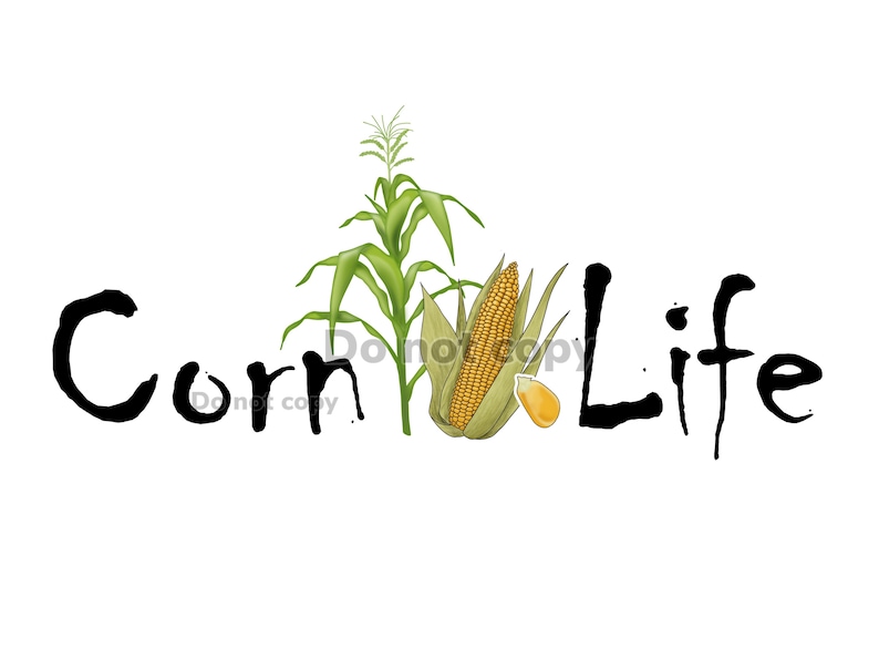 Corn Life High Resolution PNG Digital File Transparent - Etsy