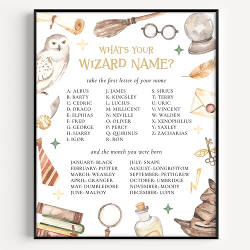 HP Wizard Birthday Party - Etsy