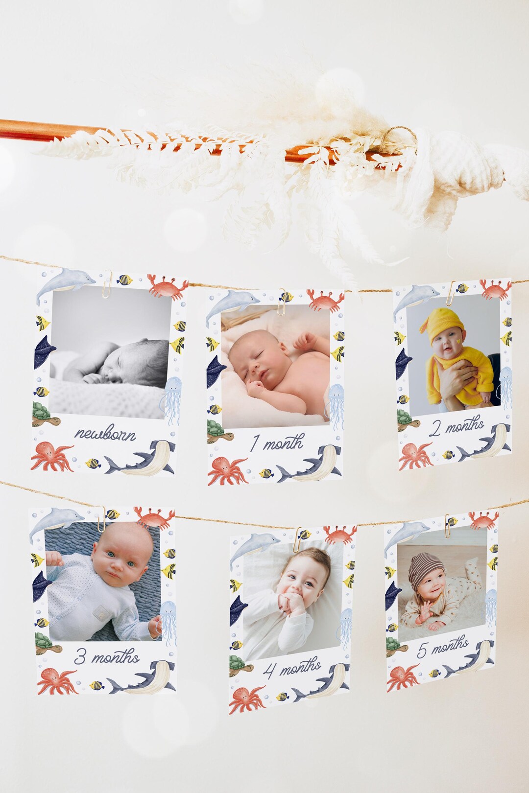 Under the Sea First Birthday Photo Banner, Oneder the Sea 1st Birthday ...