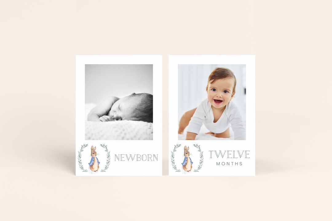 Peter Rabbit Boy First Birthday Photo Banner, Peter Rabbit Monthly ...