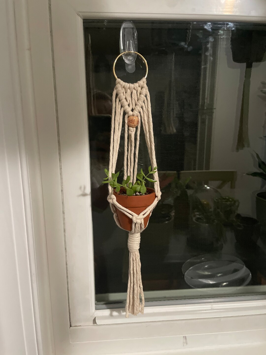 Mini Window Plant Hanger - Etsy