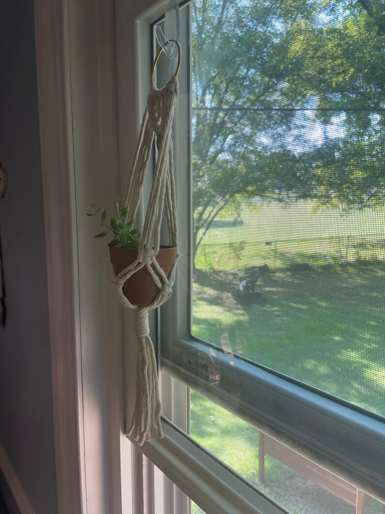 Mini Window Plant Hanger - Etsy