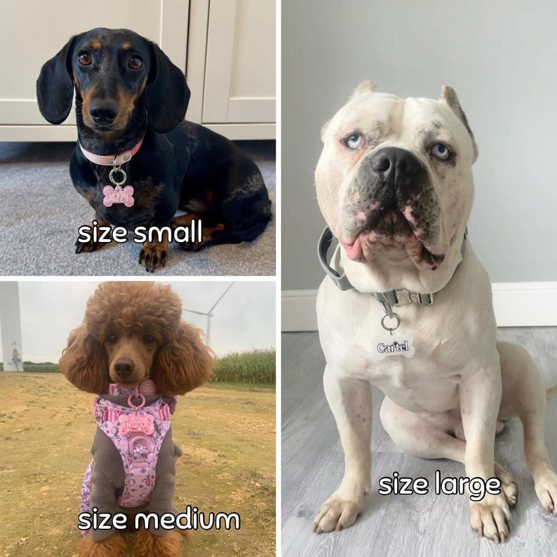 DESIGN Your Own | Resin Dog Tag | Handmade ID Collar Charm ...