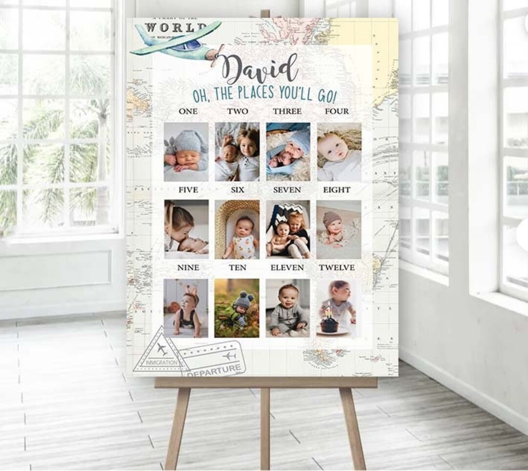 Milestone First Birthday Printable Sign First Year Picture - Etsy