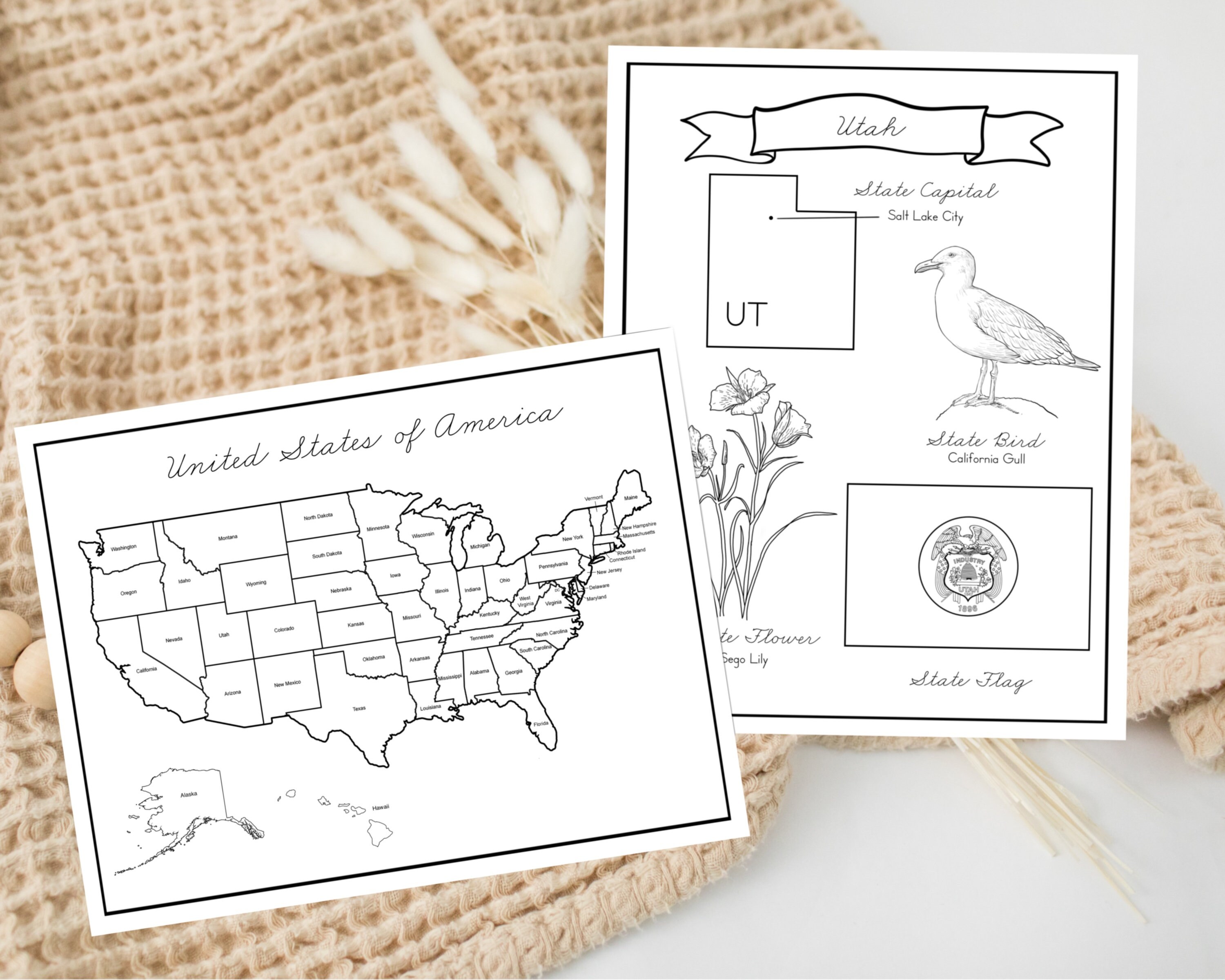 50 States Study USA State Maps Homeschool Geography - Etsy Australia