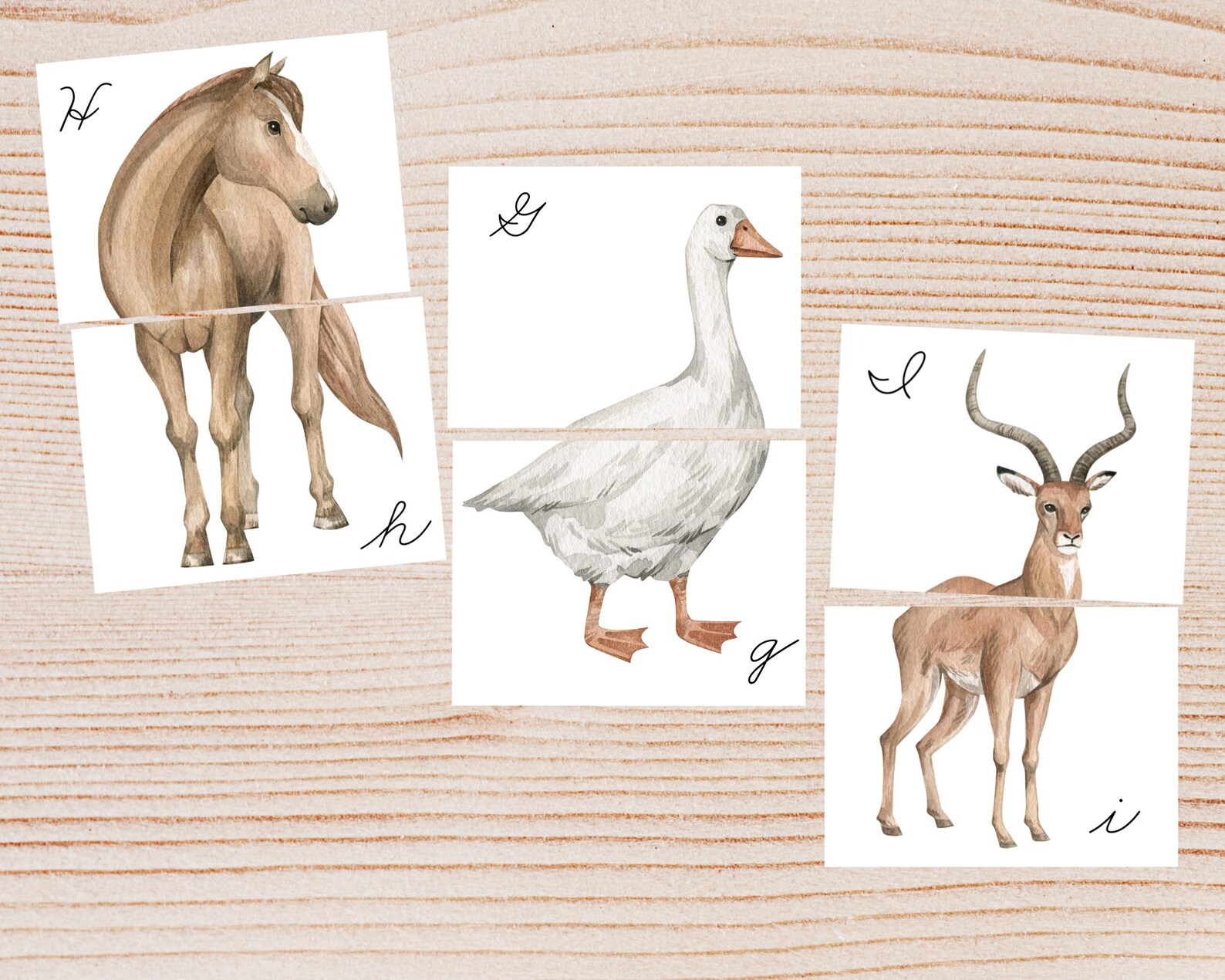 Alphabet Match Game Cursive Puzzle Game Watercolor Animal - Etsy