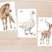 Alphabet Match Game Cursive Puzzle Game Watercolor Animal Alphabet ...