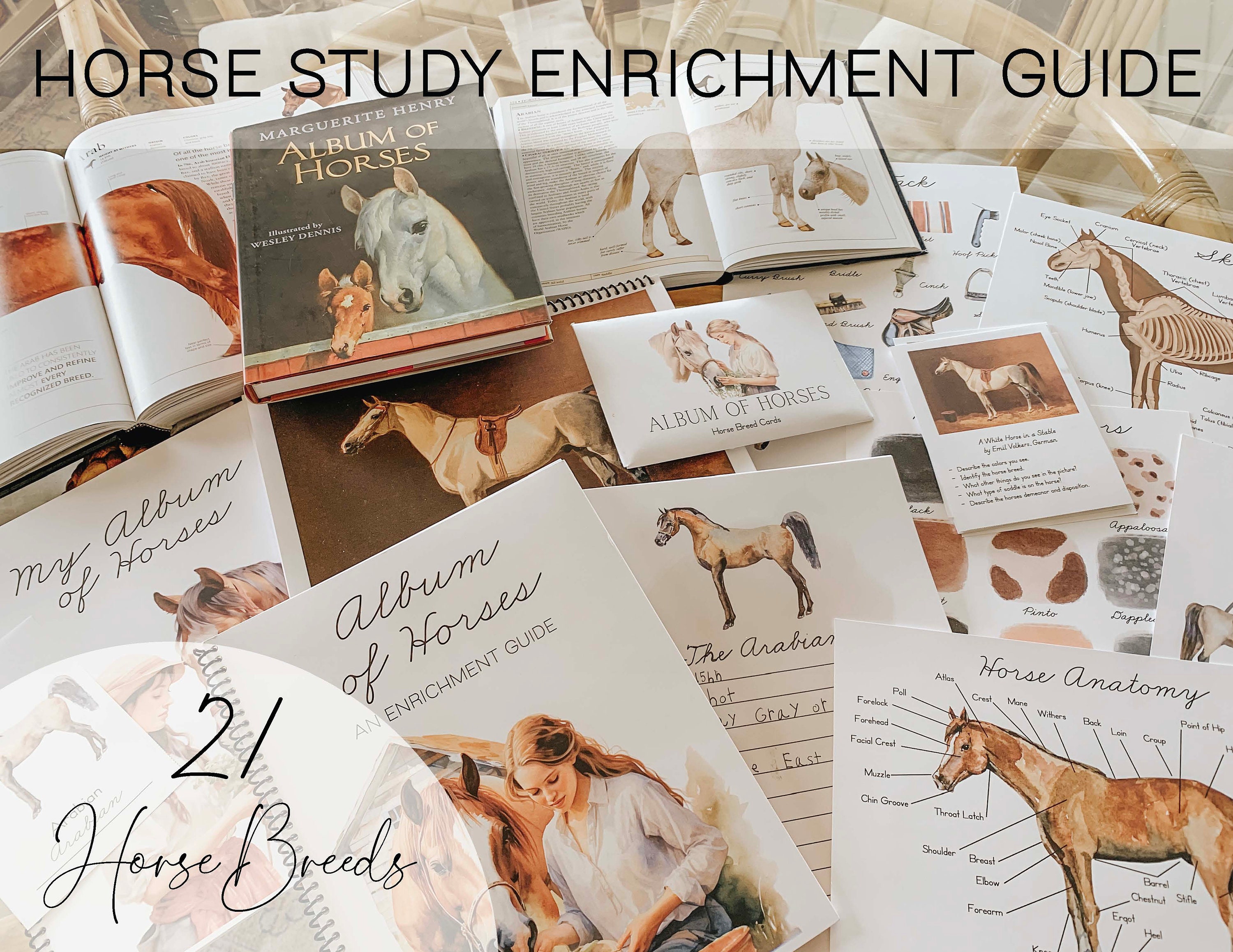 Horse Unit Study Enrichment Guide Horse Study Guide - Etsy