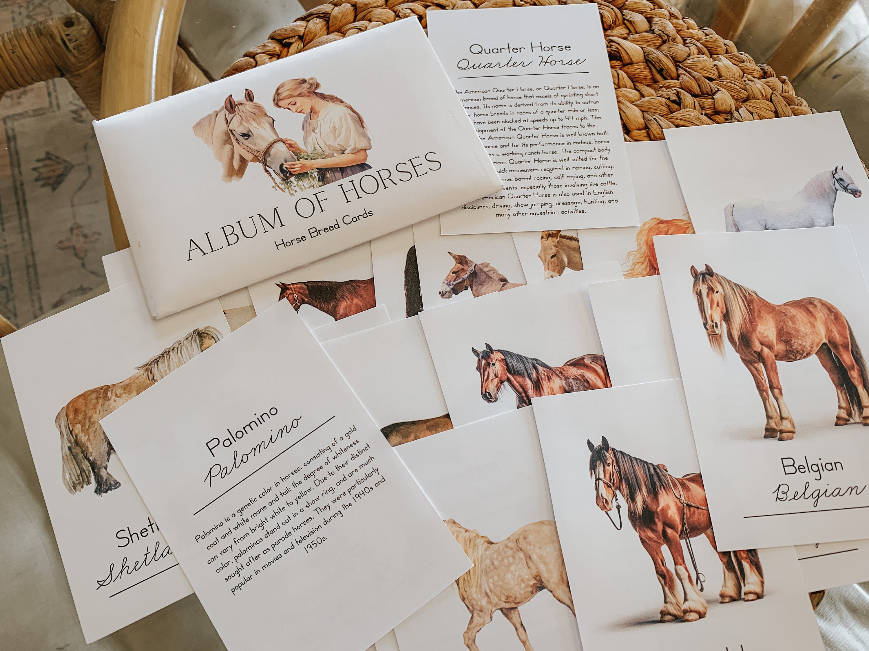 Horse Unit Study Enrichment Guide Horse Study Guide - Etsy