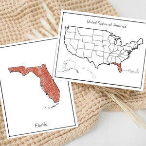 50 States Coloring Pages USA State Maps Homeschool Geography - Etsy