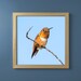 Allen's Hummingbird - Etsy