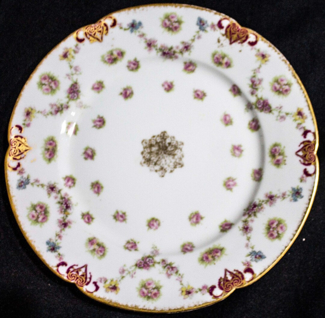 Rare Theodore Haviland Limoges france Plate Paris John Wanamaker Pink ...