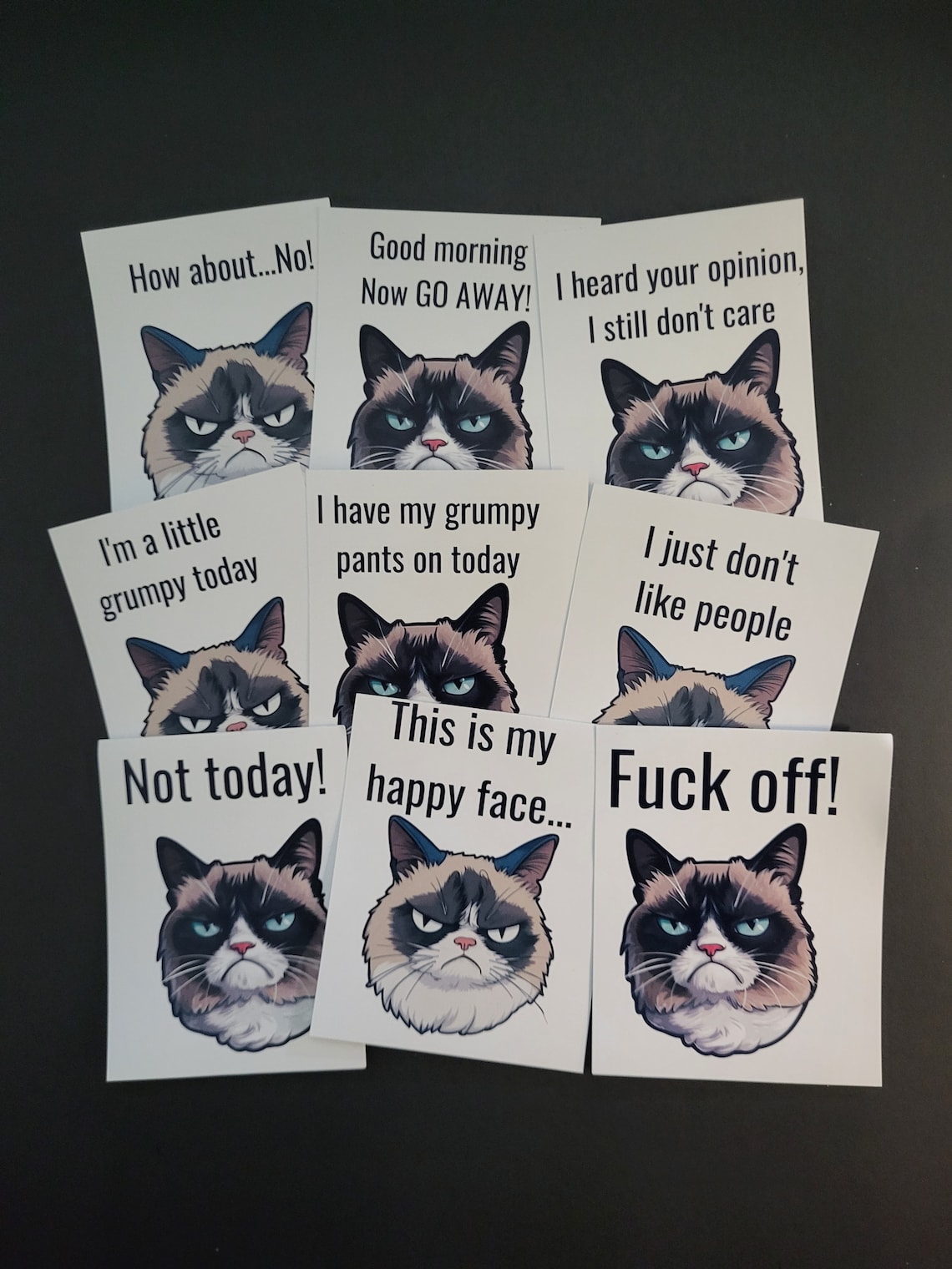 Grumpy Cat Sticker Pack Sarcastic Quotes Sticker Pack Die Cut - Etsy