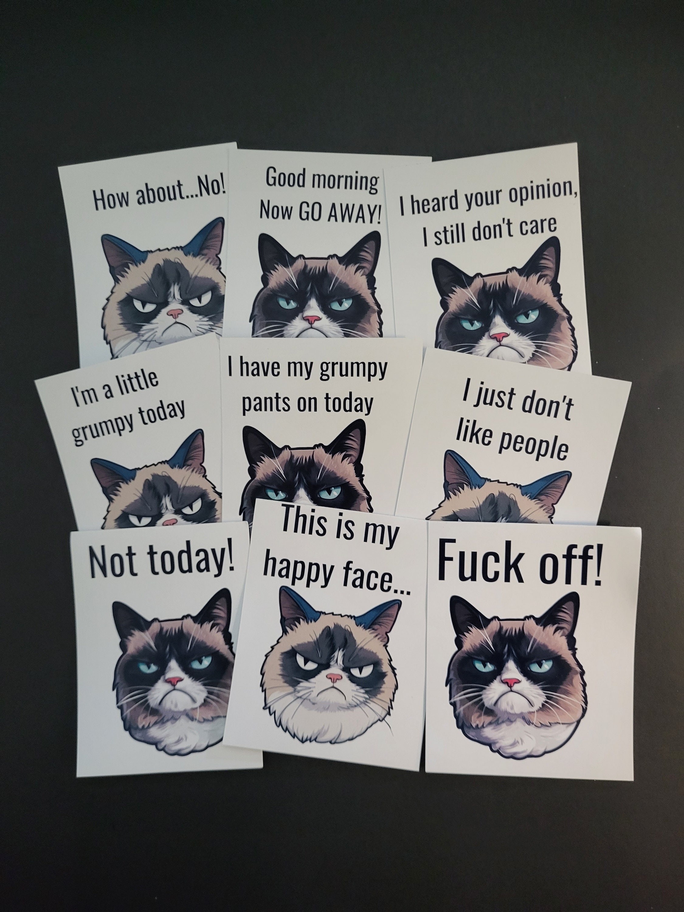 Grumpy Cat Sticker Pack Sarcastic Quotes Sticker Pack Die Cut - Etsy