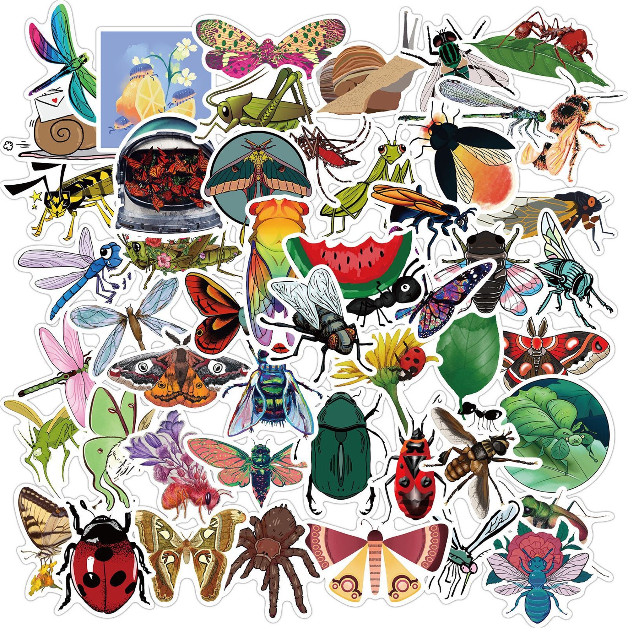 50 Pcs Insect Bug Sticker Pack Waterproof Vinyl Sticker for - Etsy