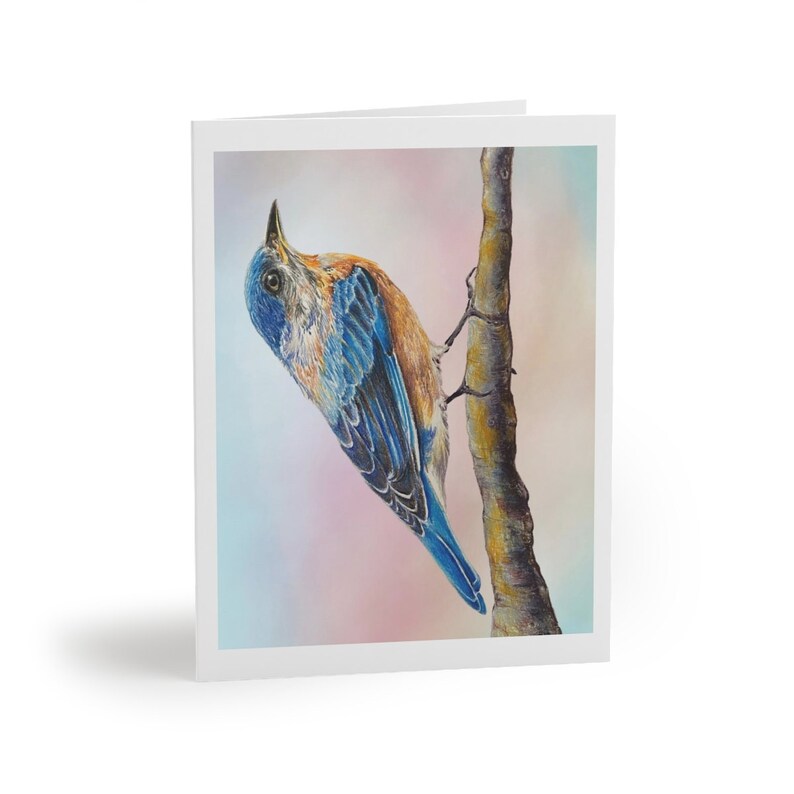 Eastern Bluebird Greeting Cards (8, 16, and 24 Pcs) - Etsy