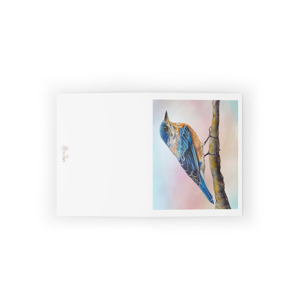 Eastern Bluebird Greeting Cards (8, 16, and 24 Pcs) - Etsy