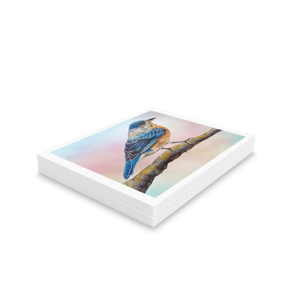 Eastern Bluebird Greeting Cards (8, 16, and 24 Pcs) - Etsy