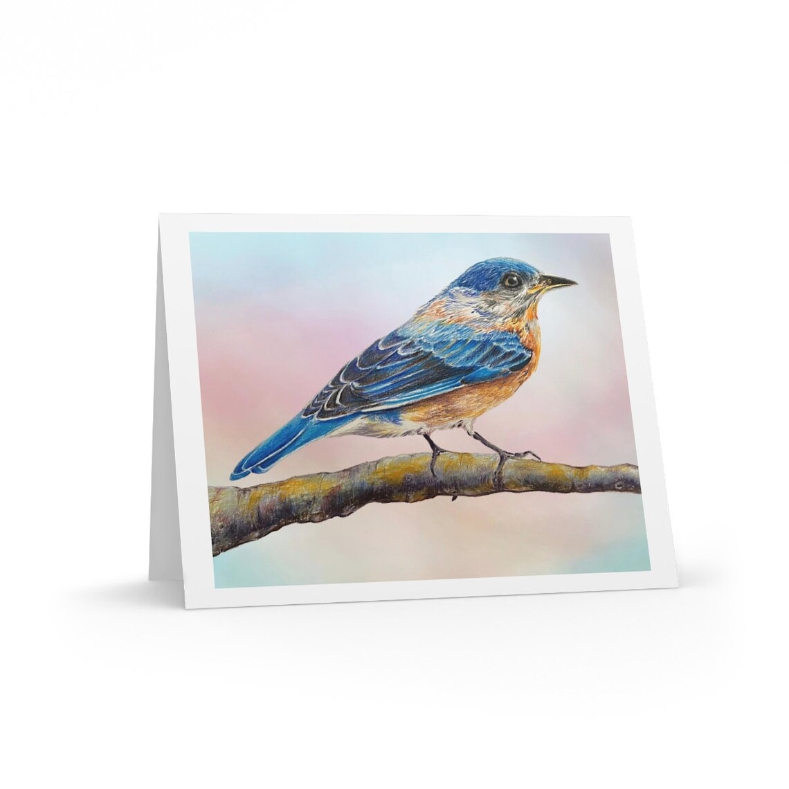 Eastern Bluebird Greeting Cards (8, 16, and 24 Pcs) - Etsy