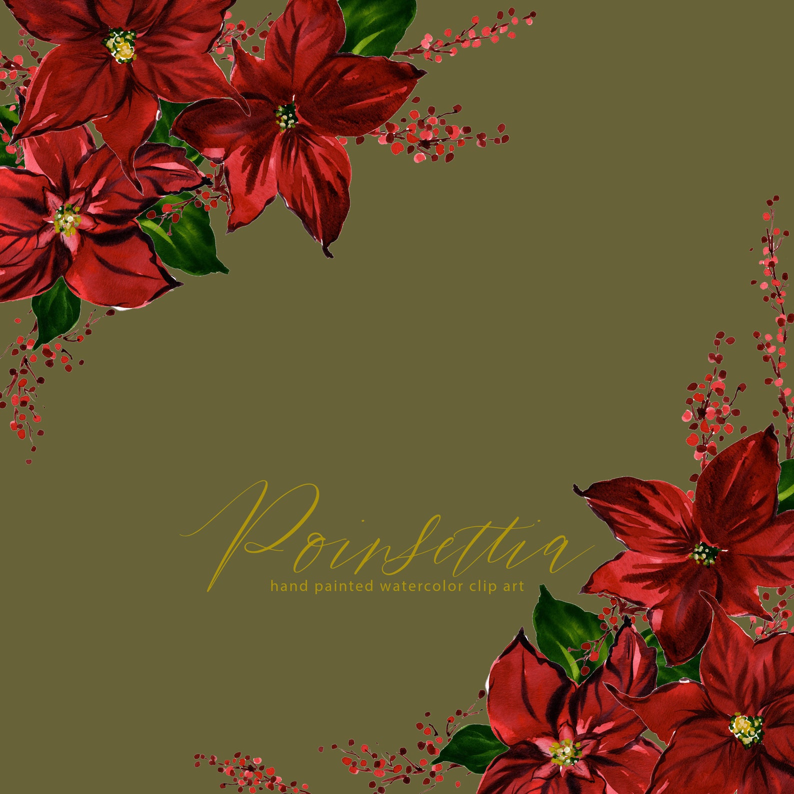 Watercolor Floral Clipart Poinsettias Christmas - Etsy